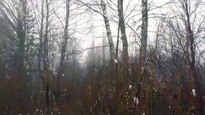 Баба Нина слепая  