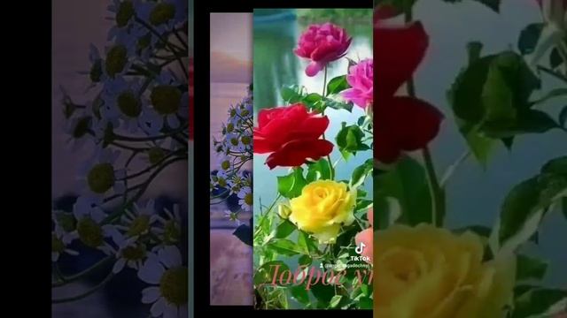 Магия ??.mp4