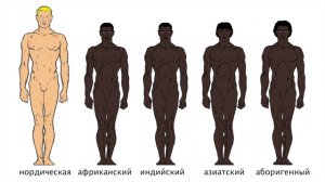 Арийская раса - Арийский стандарт