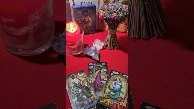 ЧТО ОН ХОЧЕТ СКАЗАТЬ ПРЯМО СЕЙЧАС!