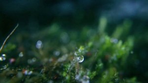Relaxing music | Scrolling Water Jazz Music to meditation, relief stress, study, relax and yoga