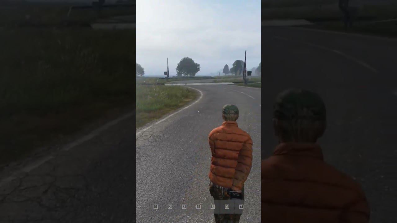 Интересный факт DayZ