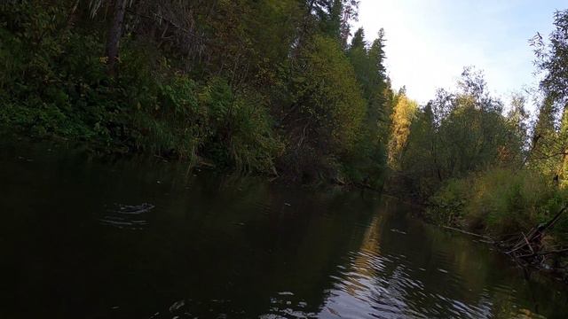 футси кебари