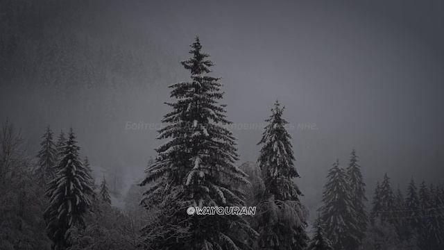 Сура_26_Ash_Shu'ara_Поэты_69_212_Ясир_Ад_Даусари