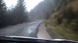 WRC - Rallye du Pays de Galles 2015 - ES7-ES10