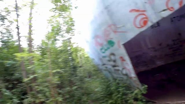 Шар в лесу около Дубны. 14.08.2017 г.