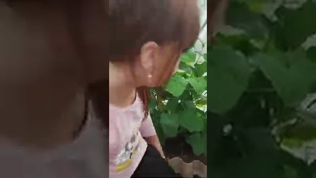 Иванова София Алексеевна.mp4