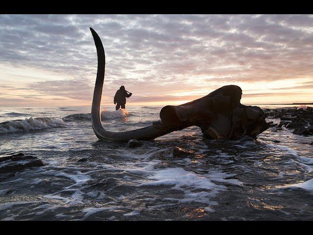 Юрий Притиск о фотопроекте "Охотники за мамонтами" Евгении Арбугаевой