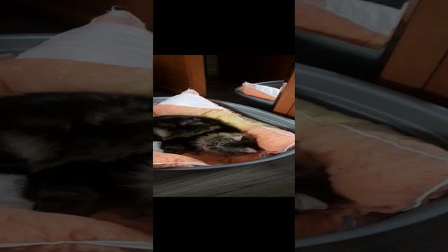 20240304_161241.mp4