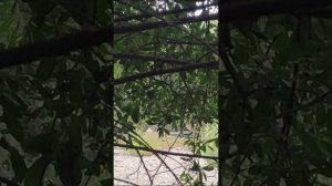 Рыбоохрана выявляет организованные группы нарушителей