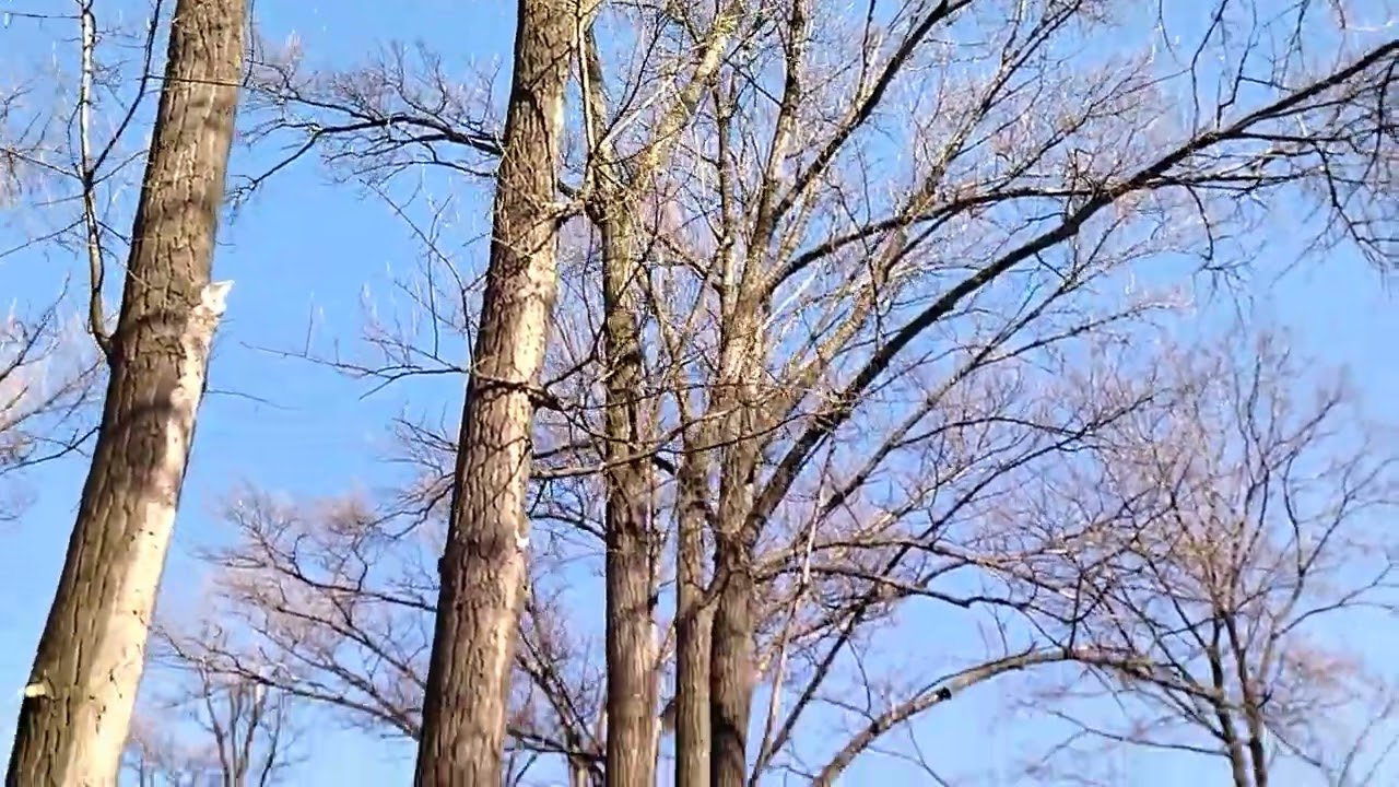 _Белка Летяга_-2. VID 20220321 132904 (1080p_30fps_H264-128kbit_AAC).mp4