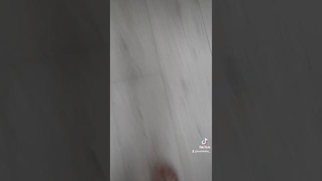проверка из тик тока