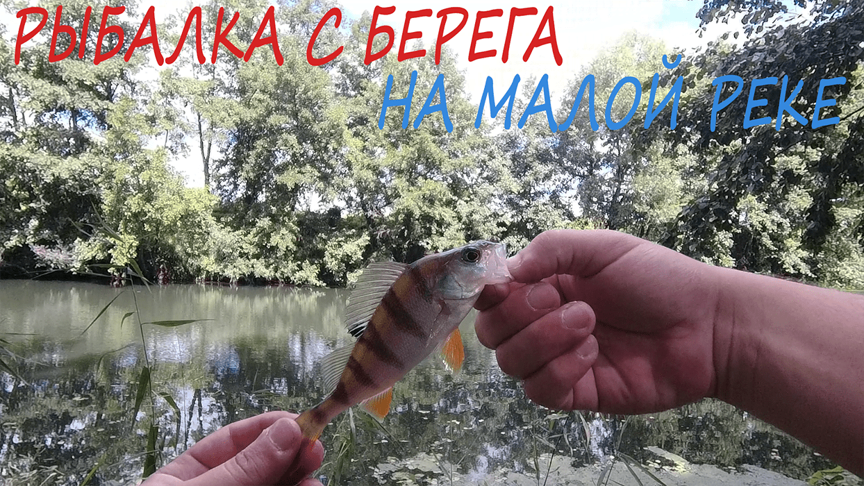 Рыбалка на Спиннинг в Августе!! Поиск РЫБЫ на малой реке с берега!
