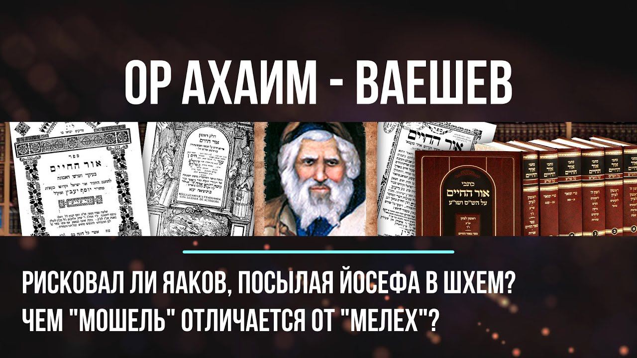 Рисковал ли Яаков, посылая Йосефа в Шхем? Чем "мошель" отличается от "мелех"? Ор аХайм! Ваешев 5781