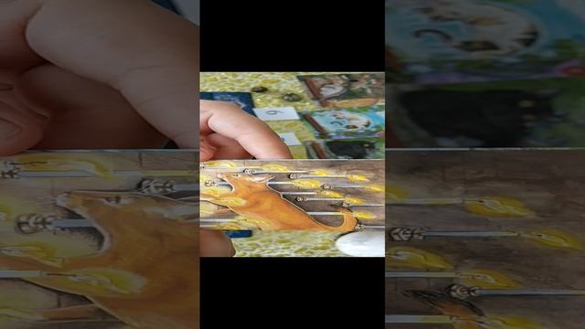 Как я проведу майские праздники? Общий расклад.