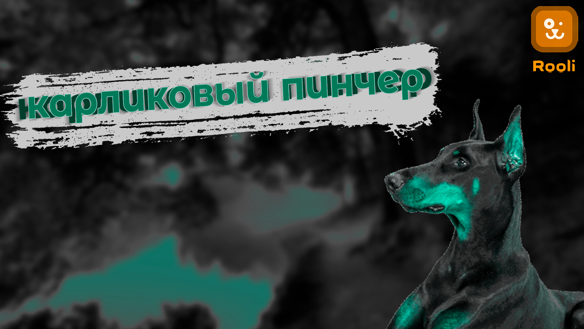 Карликовый пинчер: маленький пес с большим характером.