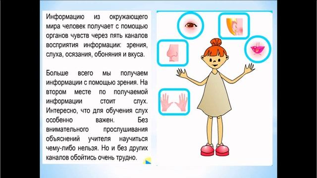 Компьютерная грамотность Видео-урок 14 на тему Информация вокруг нас и как мы ее получаем