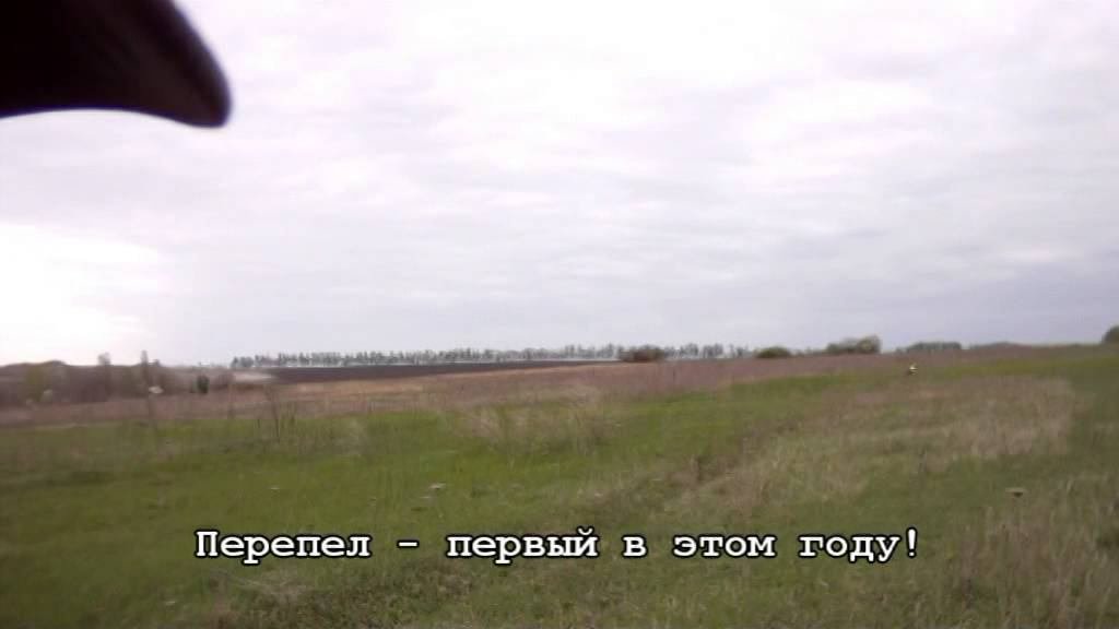 28 апреля 2014г