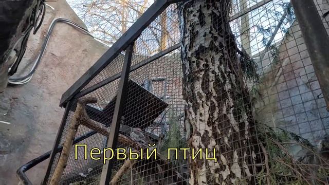 Московский зоопарк при  -25 C  ну январь же❄❄❄