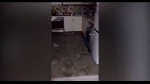 Пьяная в хлам жена избила мужа и разнесла детскую комнату. 