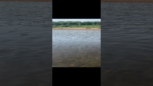 Артём ловит окуней