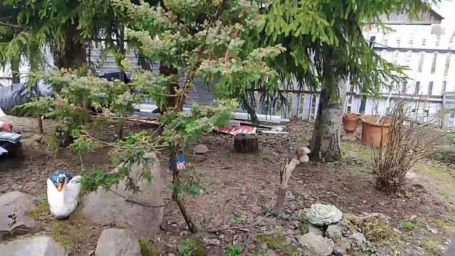 мини - ролик по теме, погода.