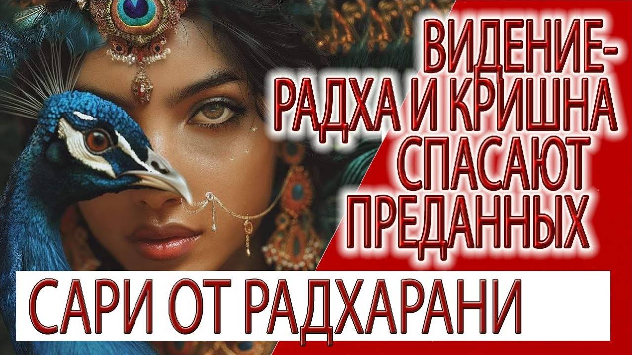Видение - сари от Радхарани!