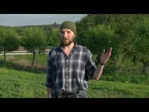 Отзыв о фестивале РОС 2016 АураМира