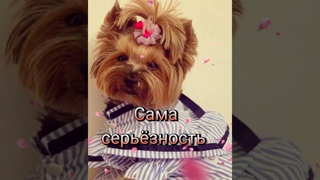 Отличного настроения