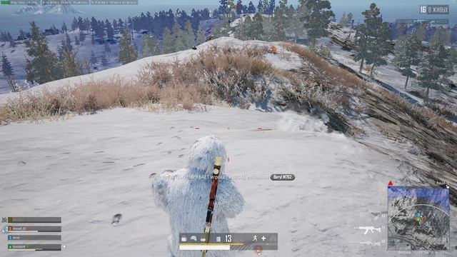 pubg  win