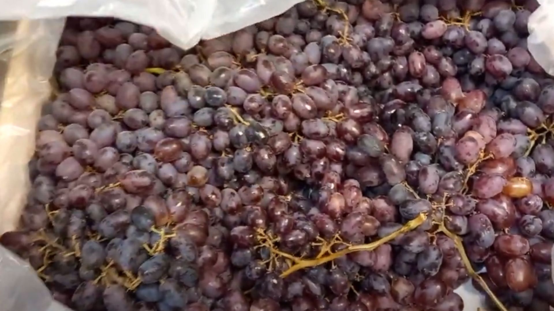 Компот из винограда . Простой рецепт.