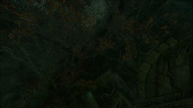 The Cursed Forest - Part 9