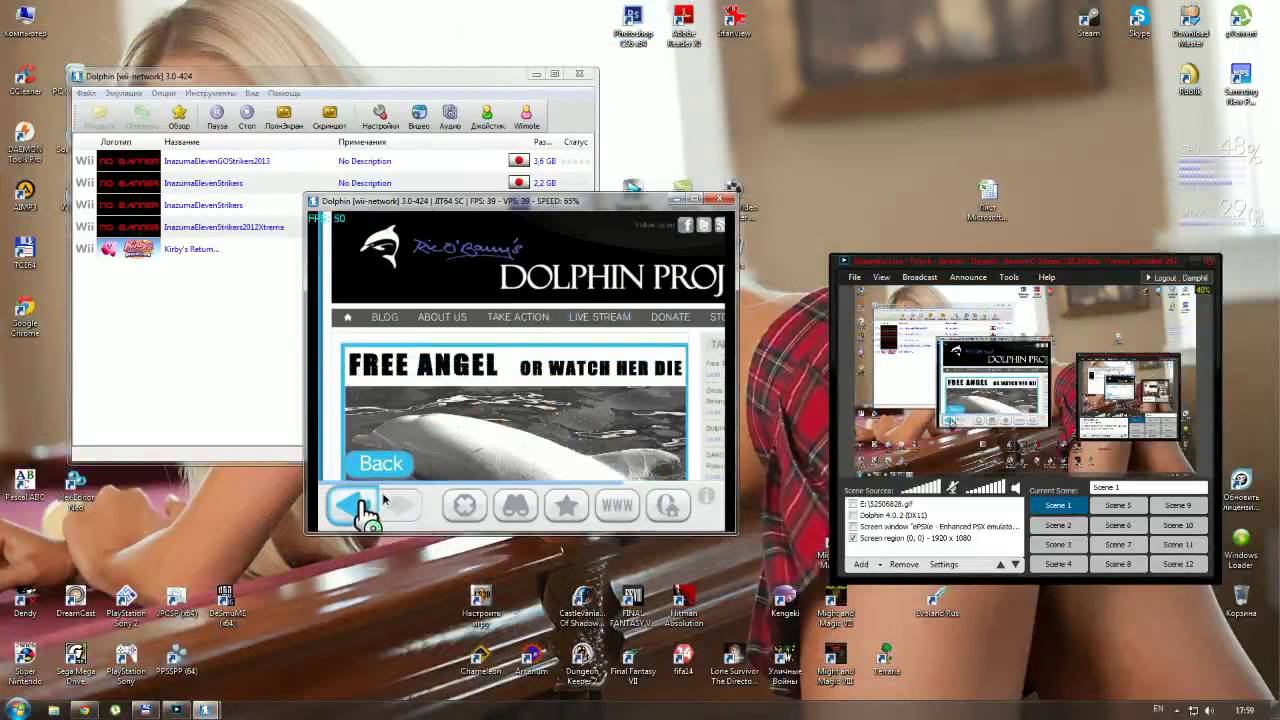Dolphin Emul open network