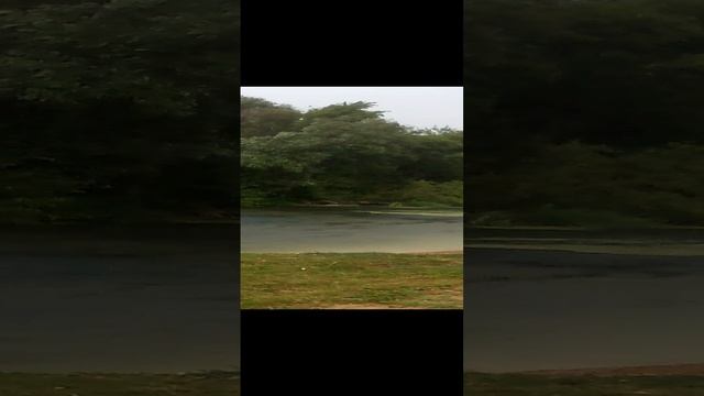 видео уток на речке и другое.