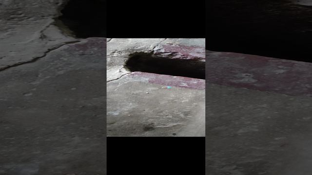 1000560362.mp4