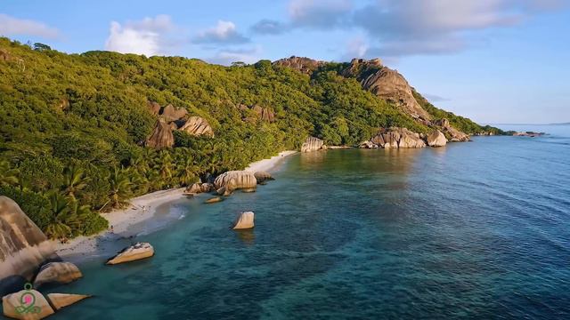 ВОССТАНОВЛЕНИЕ НЕРВНОЙ СИСТЕМЫ 🌿 Нежная музыка, успокаивает нервную систему и радует душу