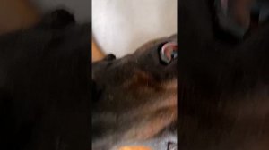 💕🥺
