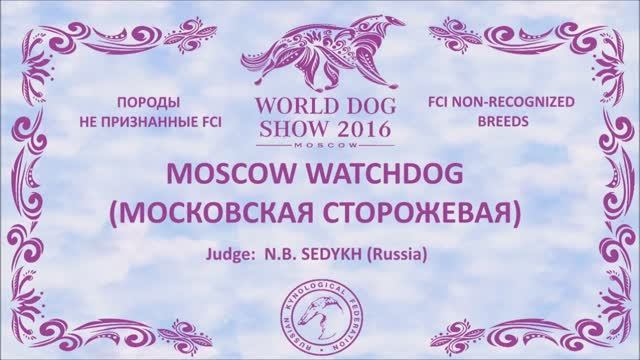 wds-2016, московская сторожевая - лк_лс_лпп