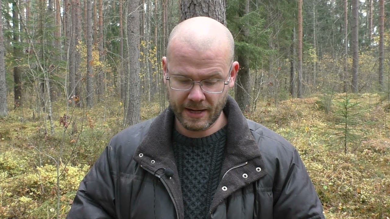 Времена года. Октябрь