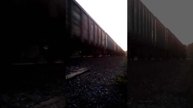товарный поезд на перегоне Тенино-Молот. 07.09.2019г