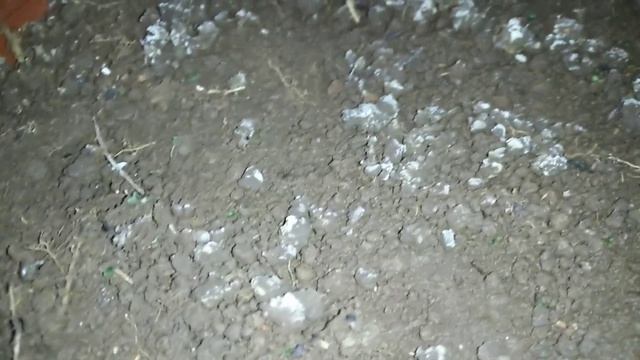 Шокирующее видео - растет земля в Индонезии.mp4