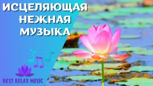 Исцеляющая нежная музыка