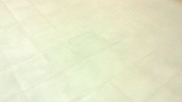 выставка коломеское