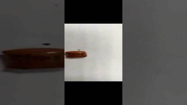 Самые богатые конденсаторы 2м2 1 шт.mp4. Принимаем радиодетали и изделия из драгметаллов 89309680121