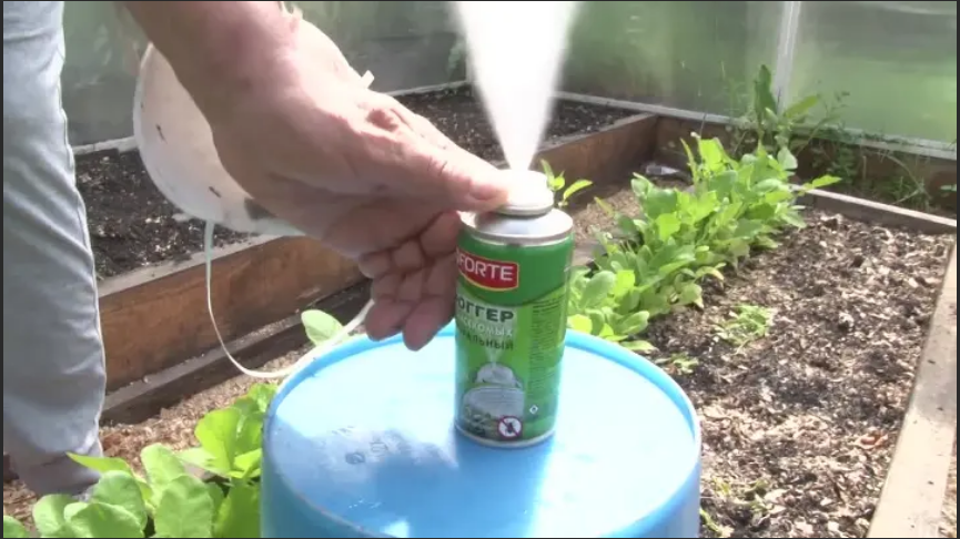 Туман для теплиц. Пиретрум Фоггер.  Как избавиться от насекомых в теплице или на чердаке.