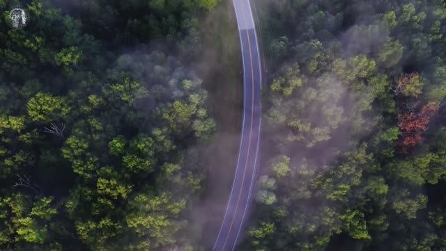 Квантовая модель реальности. Как мысли воздействуют на нашу жизнь.