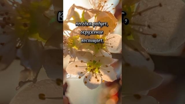 С добрым весенним утром!