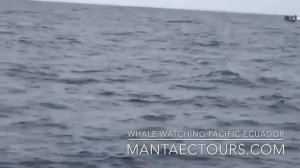 Manta Ecuador Pacific Coast Tours