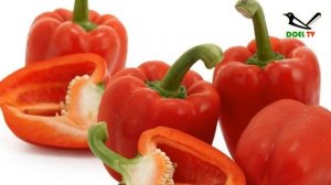 10 FOODS TO BOOST YOUR IMMUNITY NATURALLY! | ১০ টি খাবার শরীরের রোগ প্রতিরোধ ক্ষমতা বাড়ায়