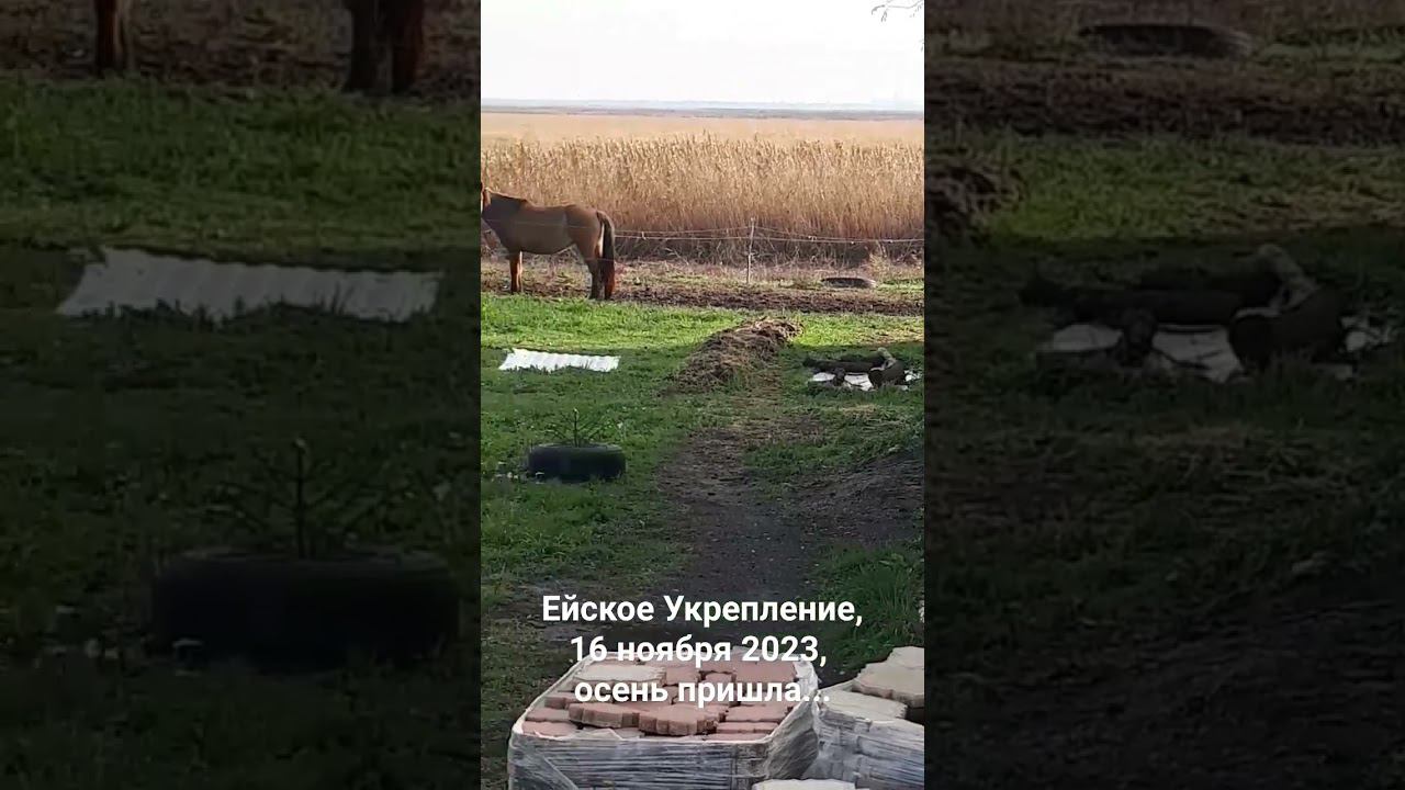 Ейское Укрепление, 16 ноября 2023 г.